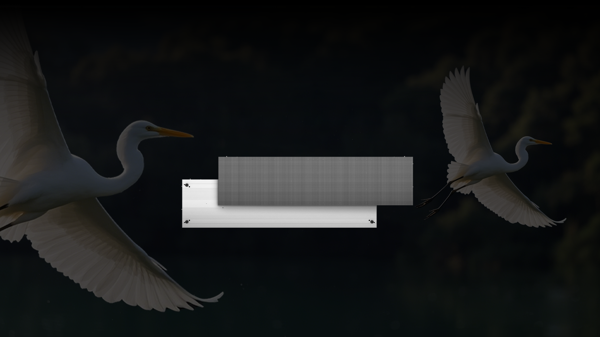 Egret Series | Spectrum Display delivers cutting-edge LED display ...